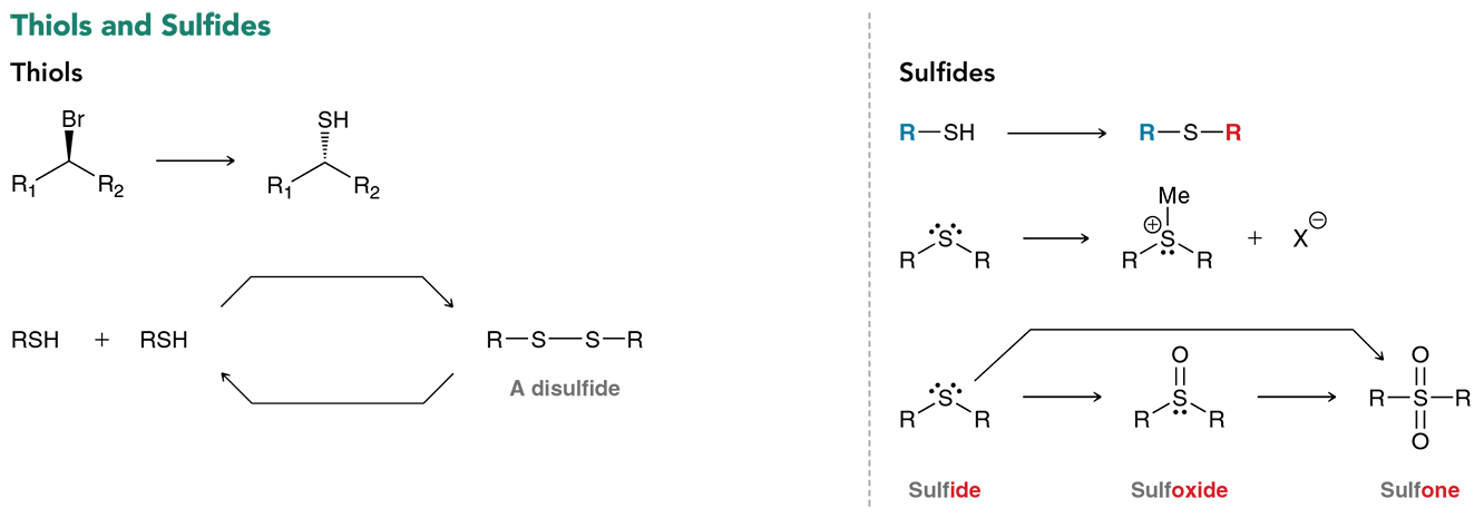 13. 16 Review of Reactions Preparation of Thiols and Sulfides